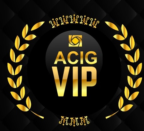 Acig Vip: conheça as empresas que oferecem descontos especiais para os ...